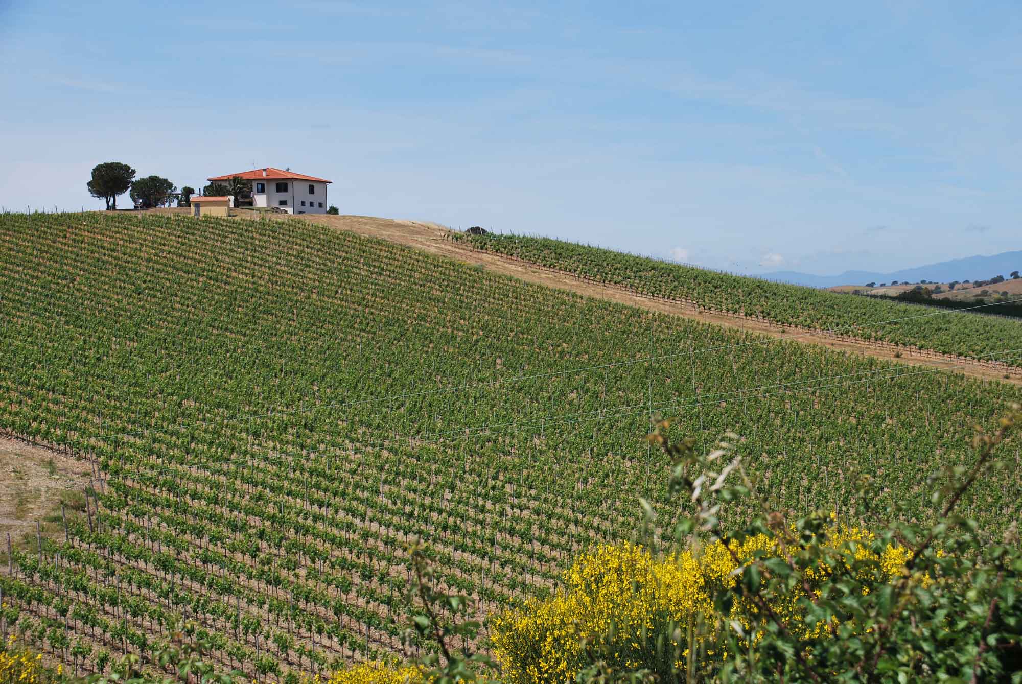 Val delle Rose e la Maremma nel cuore – GustarViaggiando